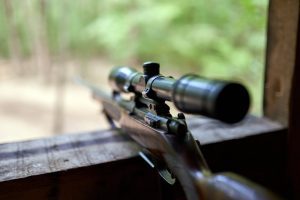 Rifle Scope Magnification vs Distance - Hold Right Edge
